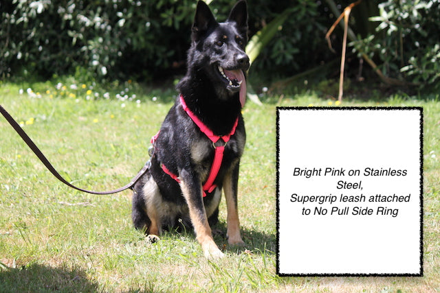 Biothane Harnesses Small 16mm wide multiple colours and options – Delta ...